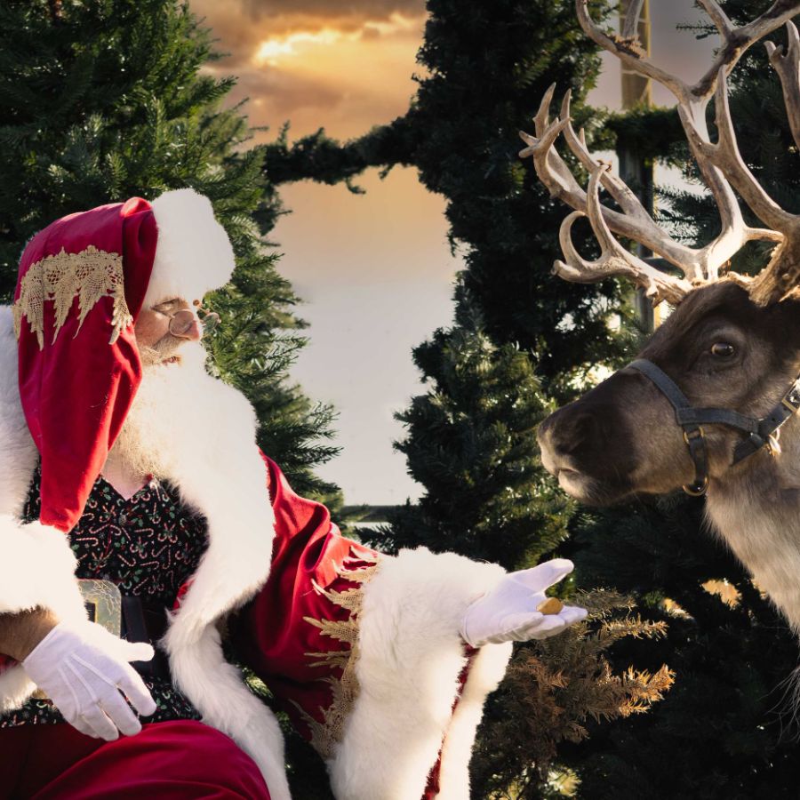 Home - One Room Reindeer